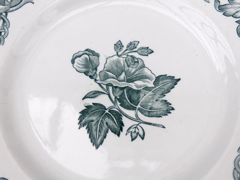 Vintage French green ironstone dinner plates set of 5 - Brocante Ma Jolie