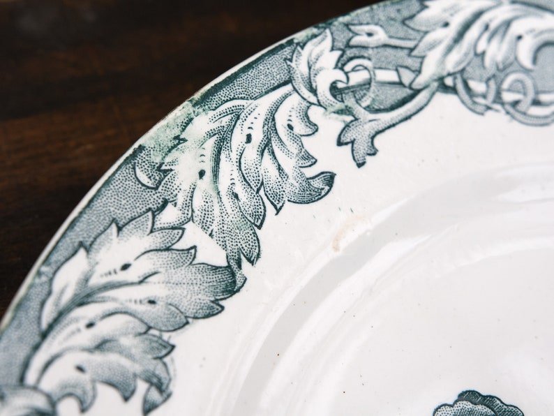 Vintage French green ironstone dinner plates set of 5 - Brocante Ma Jolie