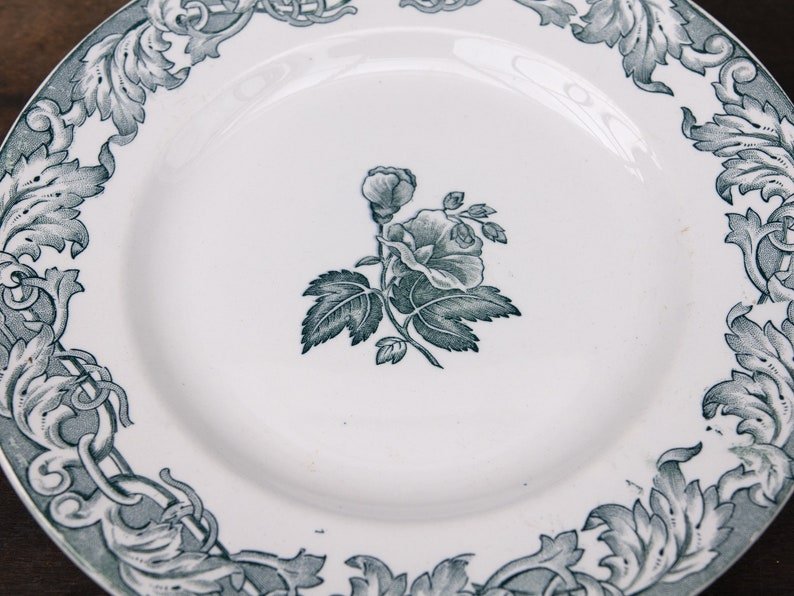 Vintage French green ironstone dinner plates set of 5 - Brocante Ma Jolie