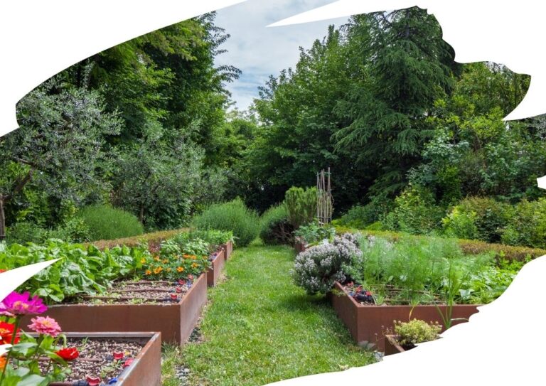 Secrets Revealed: How to Achieve a Breathtaking French Country Garden ...