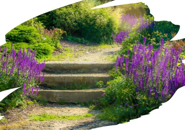 Secrets Revealed: How to Achieve a Breathtaking French Country Garden ...