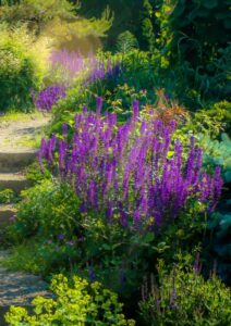Secrets Revealed: How to Achieve a Breathtaking French Country Garden ...